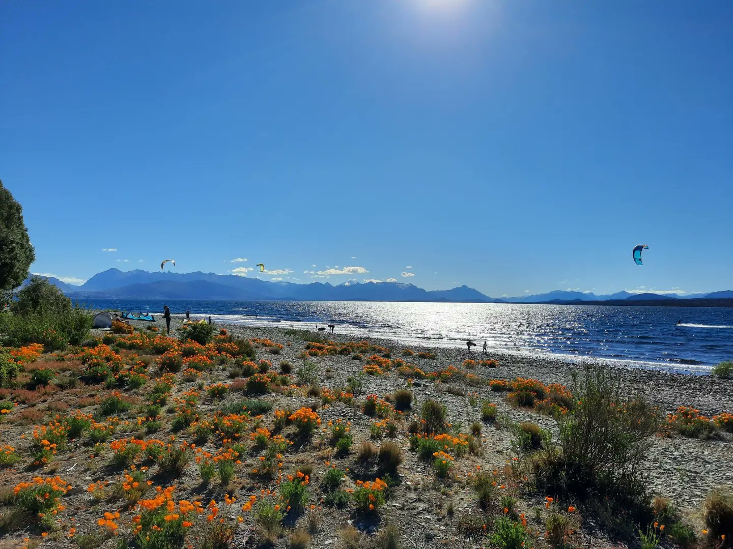 Dina Huapi, tesoro rionegrino para descubrir | Patagonia Andina: viajes ...